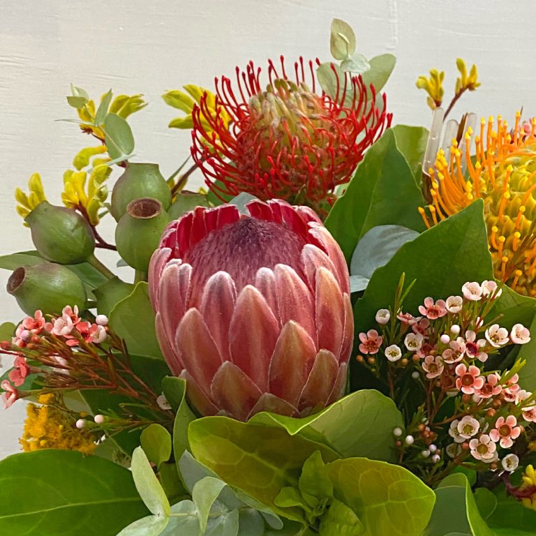 Seasonal Native Posy Box Arrangement - Karinya Florist